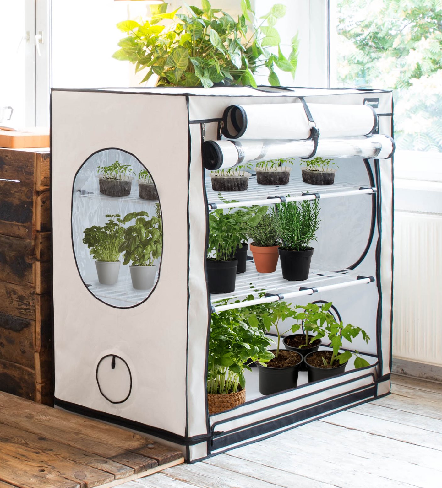 Professional solutions for plant lighting with LED grow lamps